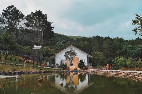 Tọa độ 3 Homestay Đẹp gần Đồi Chè Cầu Đất Đà Lạt [ngây ngất]