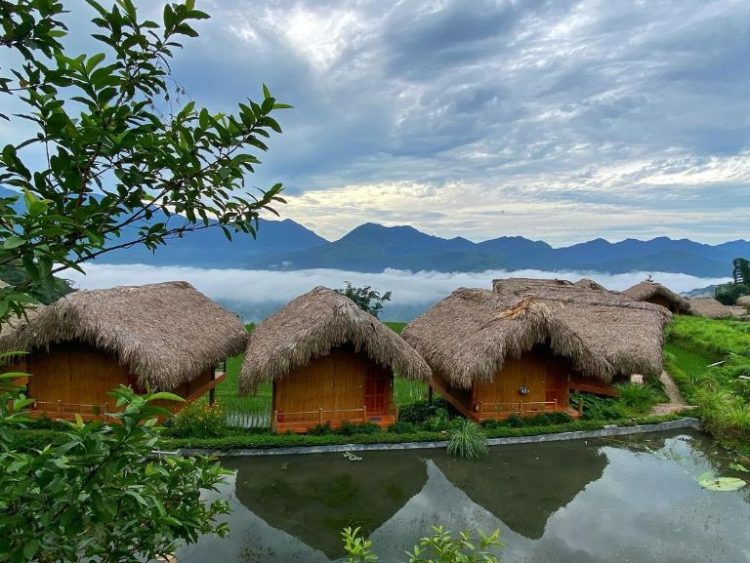 9 Homestay Tà Xùa Sở Hữu View Săn Mây Đẹp Nhất Năm 2025