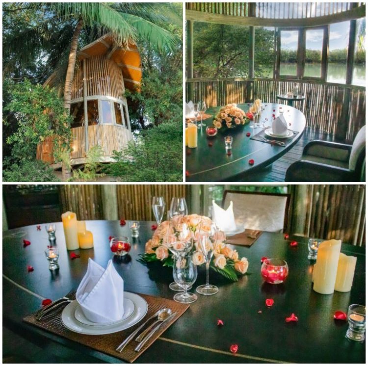 An Lâm Resort Bình Dương | Khu Vườn Nhiệt Đới Giữa Lòng Thành Phố