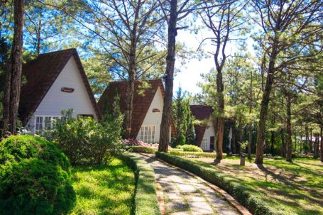 11 Resort Đẹp Như Tranh Tại Đà Lạt Khiến Bạn Quên Lối Về